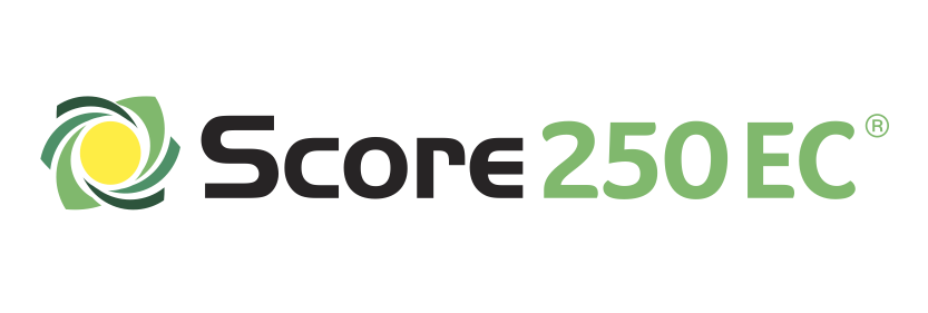Score 250 EC - Fungicid | Syngenta