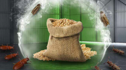 ACTELLIC® Smoke Generator No 20 - Insekticid | Syngenta