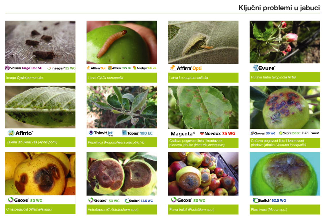 🍏JABUKA preporučena zaštita | Syngenta