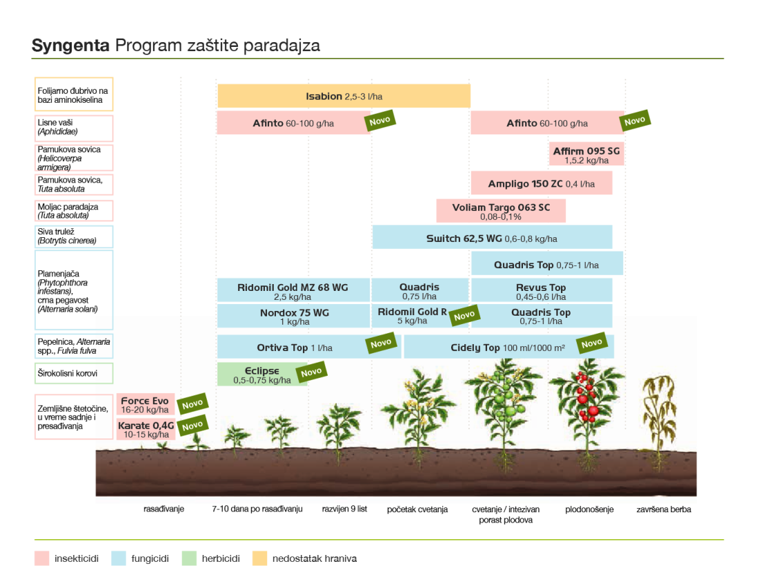 PARADAJZ preporučena zaštita | Syngenta