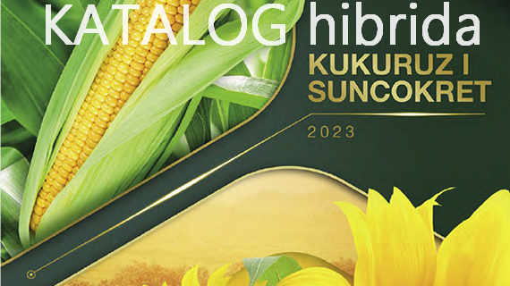 Hibridi suncokreta | Syngenta