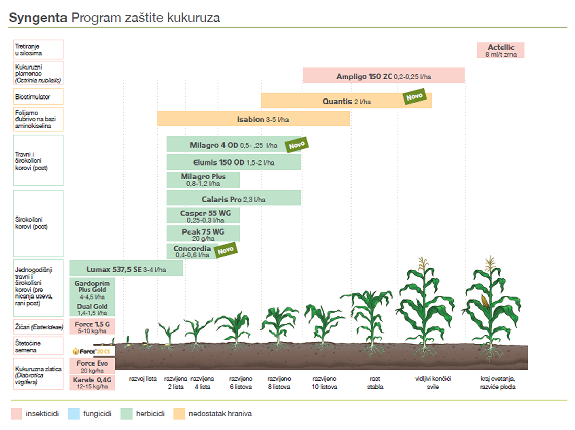KUKURUZ preporučena zaštita | Syngenta