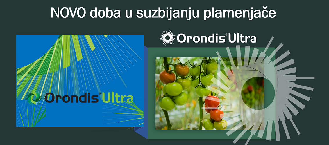 Orondis Ultra - Fungicid | Syngenta