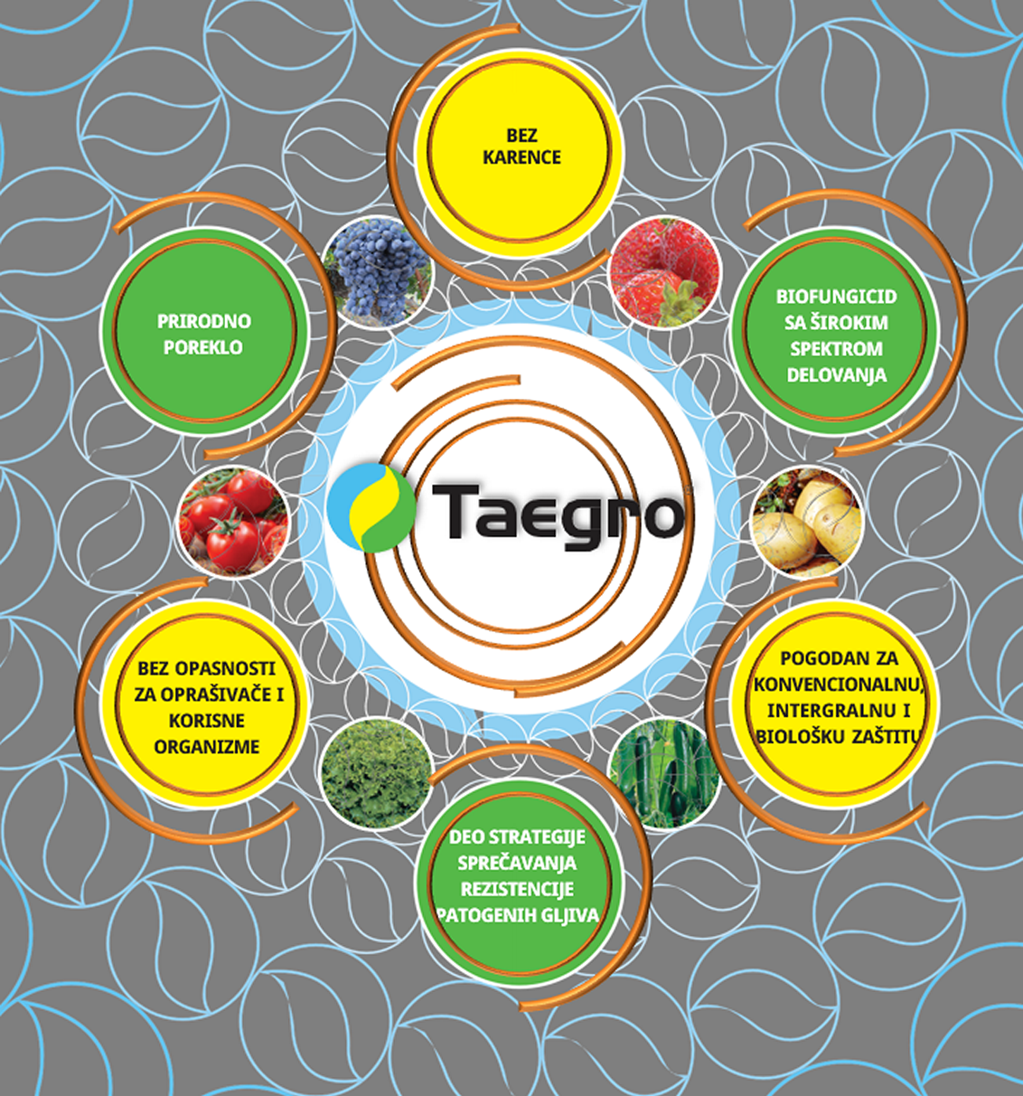 Taegro - Biofungicid | Syngenta